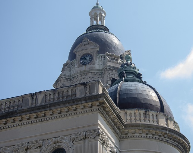 Roe v. Wade Case Brief Example – Case Brief Examples